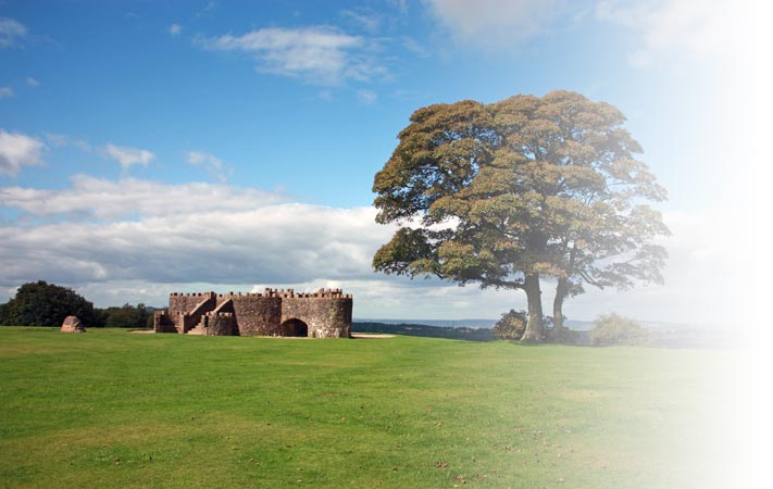 Estate & Letting Agents in Rubery | Love Your Postcode™